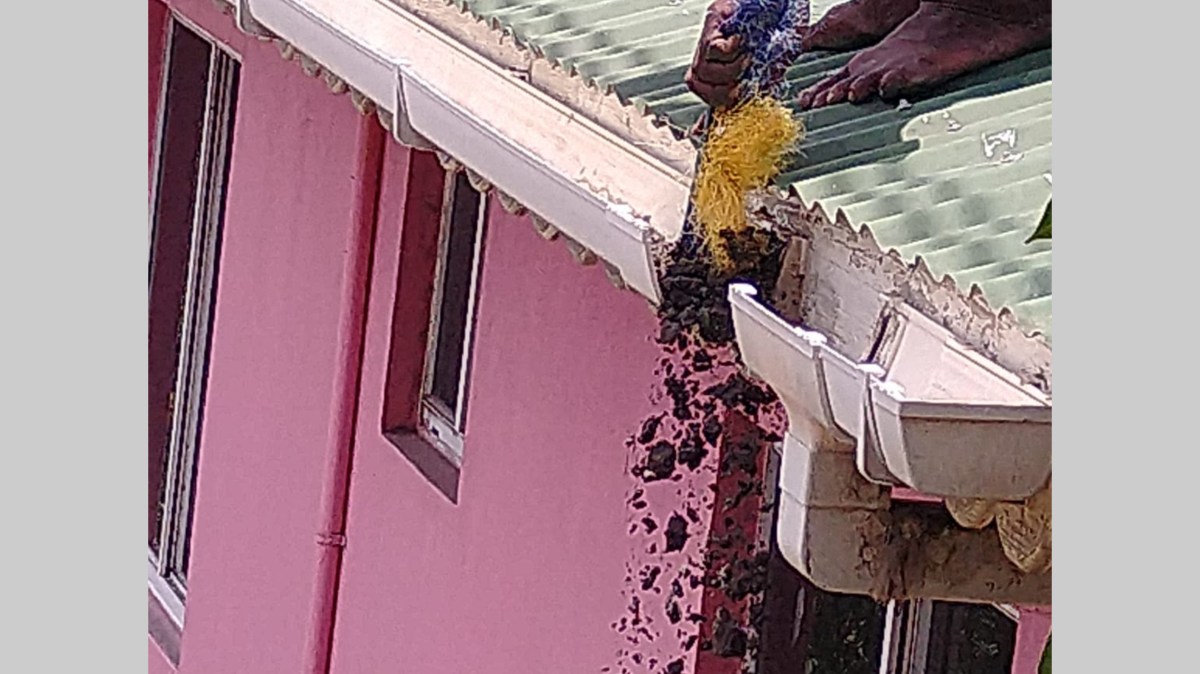 Dry season and ashfall impacting Grenadines limited water – One News SVG