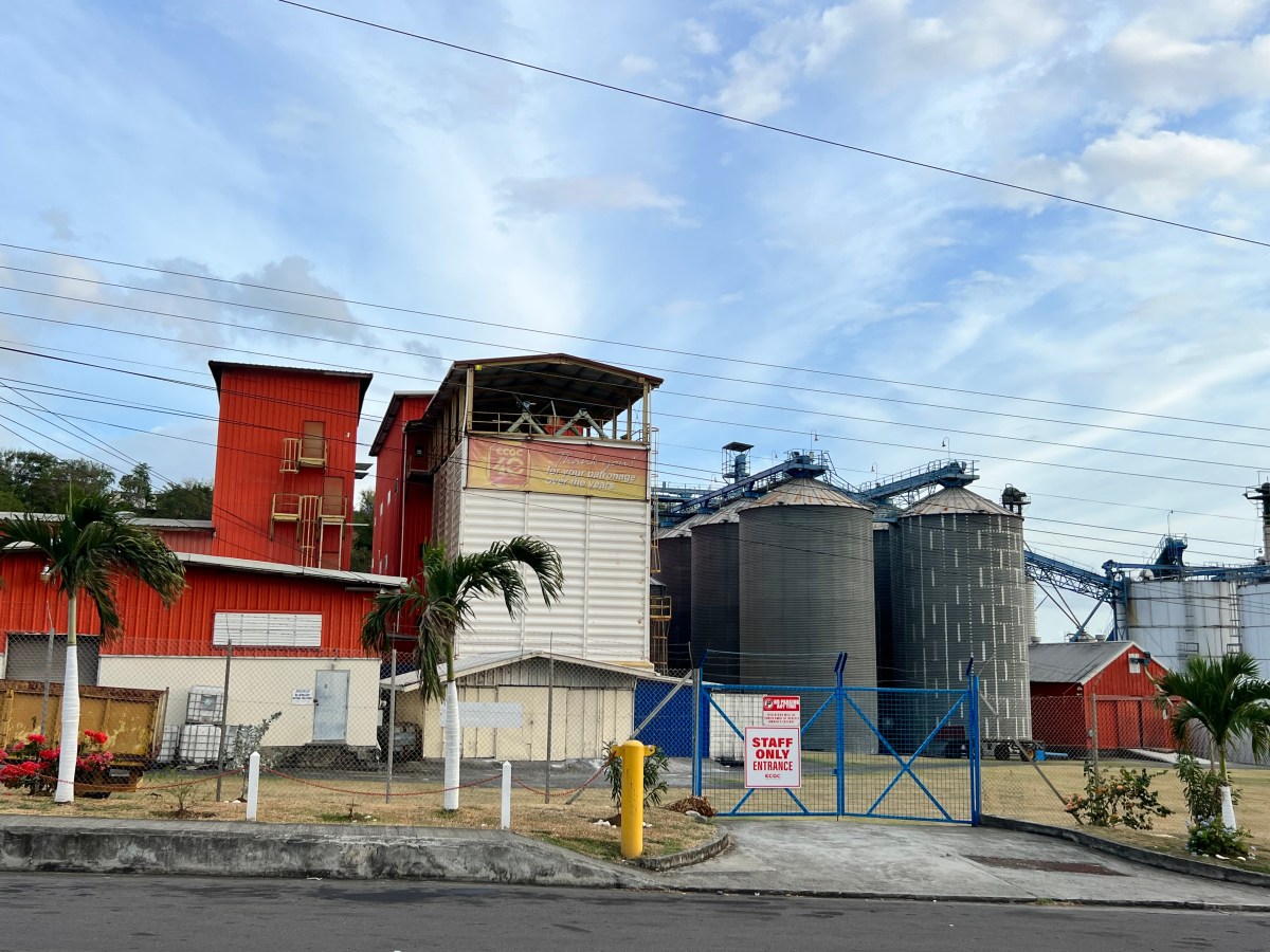 ECGC celebrates 45 years – One News SVG