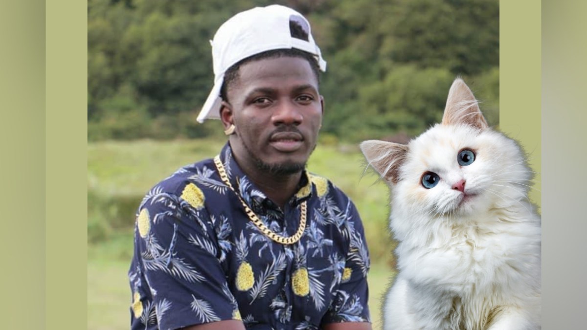 A magical cat? What is Derron Rouse’s new song really about? – One News SVG