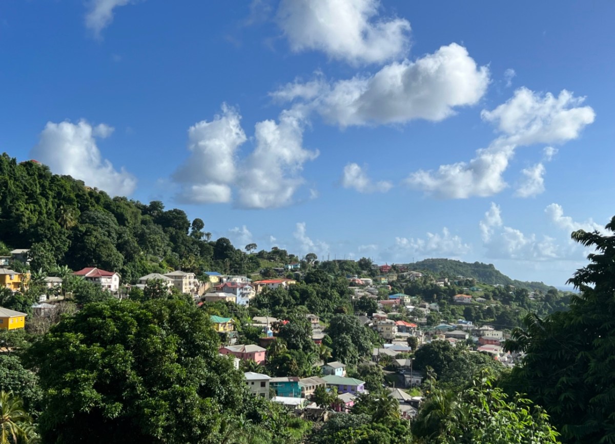 2023 Population and housing census set for June 15 – One News SVG