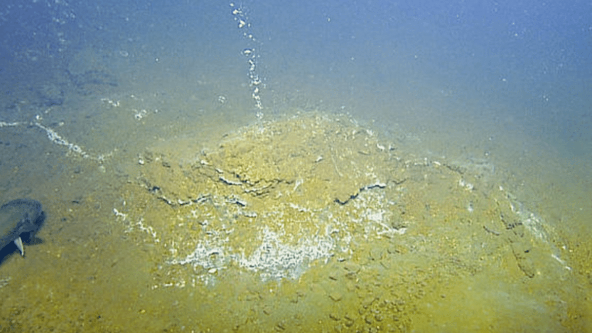 Grenada’s underwater volcano is acting up – One News SVG