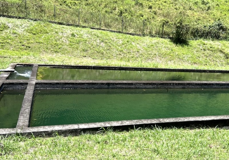 Water crisis in some communities as Category 4 Beryl approaches – One ...