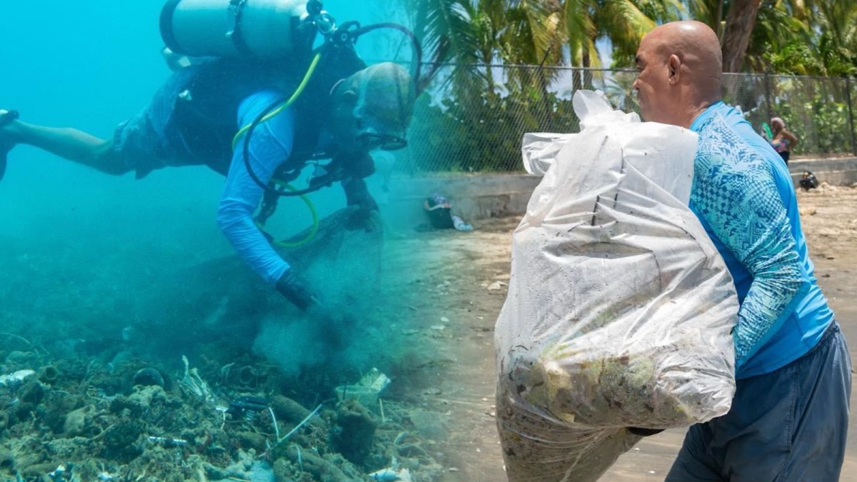 Divers remove trash from seabed at Indian Bay, but large amount still ...