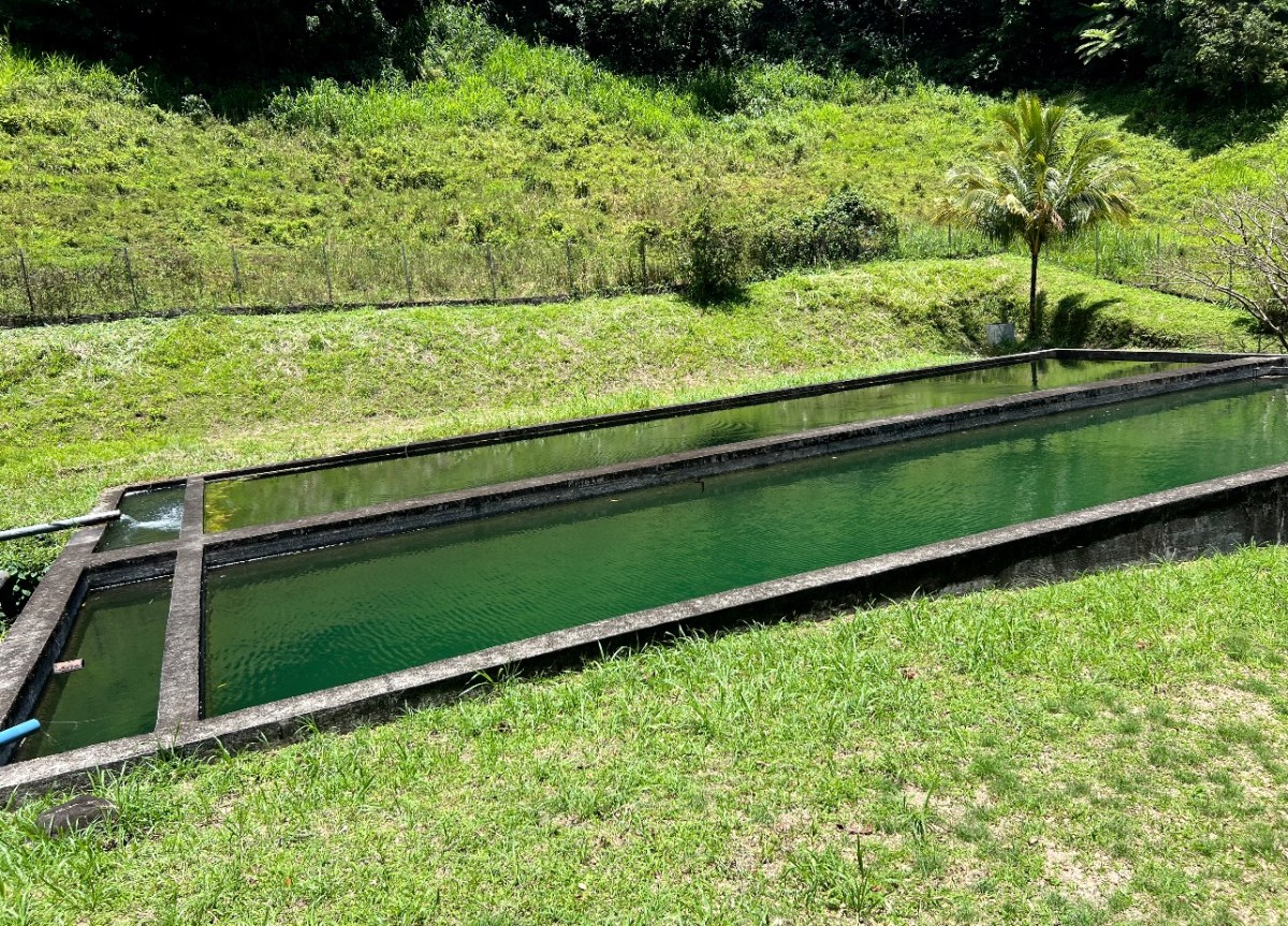 CWSA releases important message to all customers – One News SVG