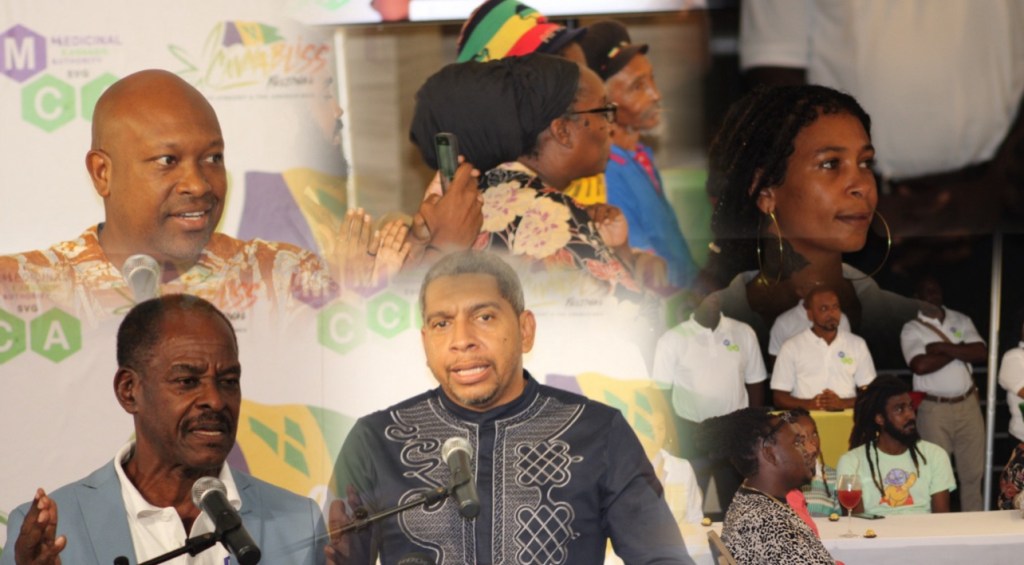 SVG Launches First Medicinal Marijuana Festival – One News SVG