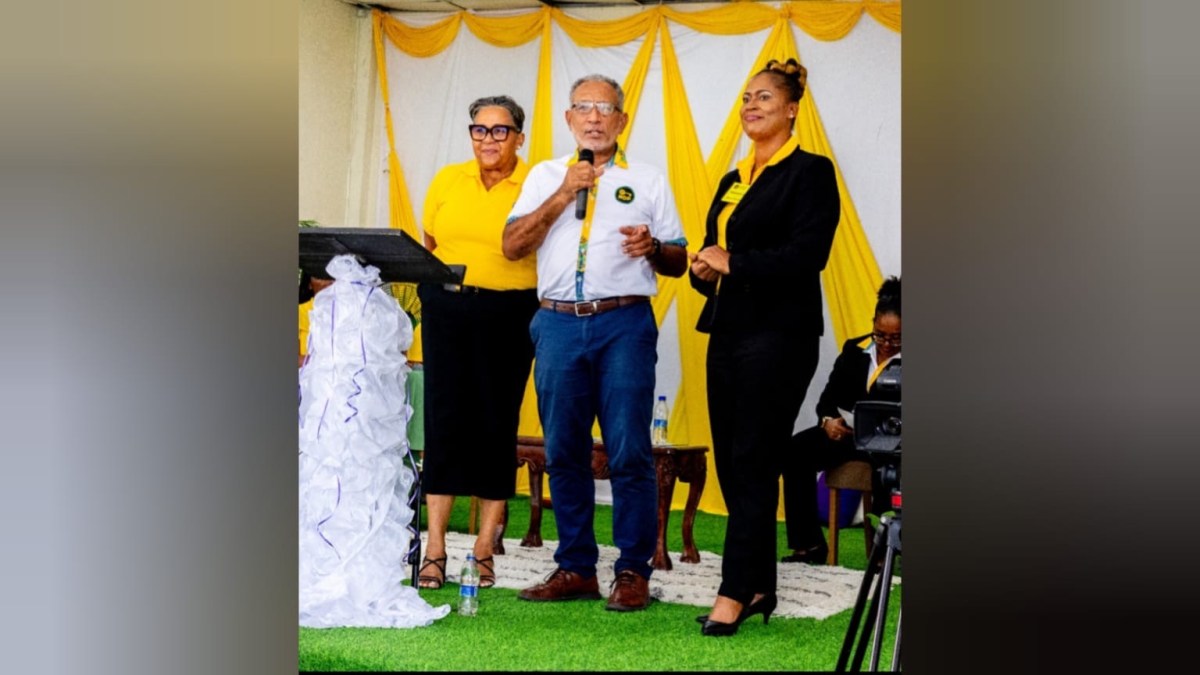 NDP Leaders Address Gender Inequality, Violence, and Economic Hardship ...