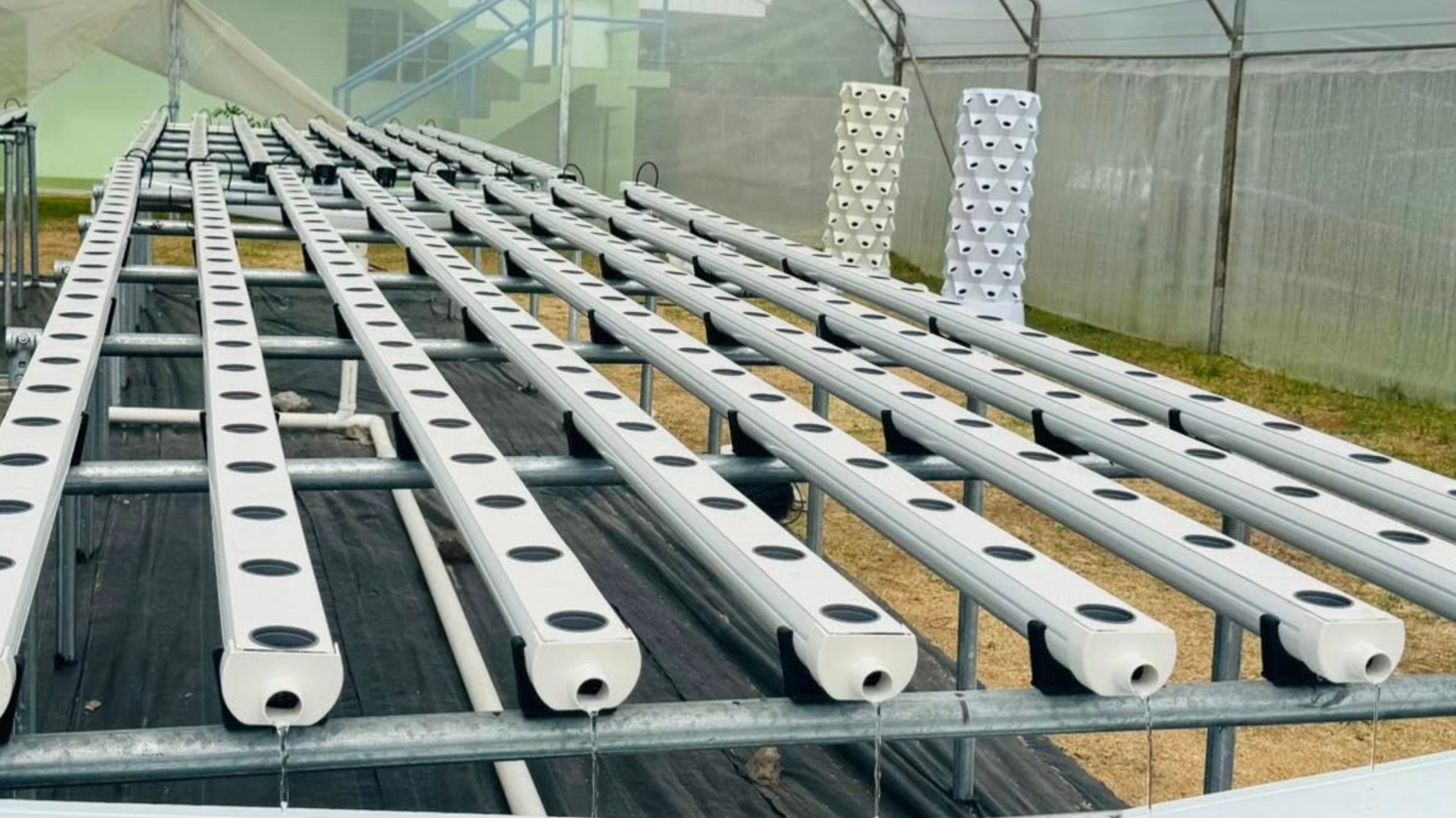 Hands-On Hydroponics Prepares SVGCC Students for Modern Agriculture ...