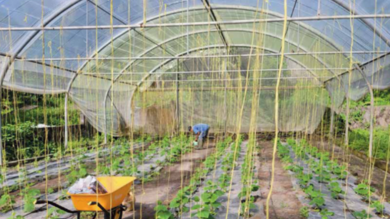 ULP’s Manifesto Officially Launched: View It Here – One News SVG