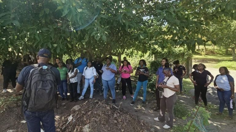 “I Lost 600 Pounds of Cucumbers”: Young Farmers Call for Greater ...