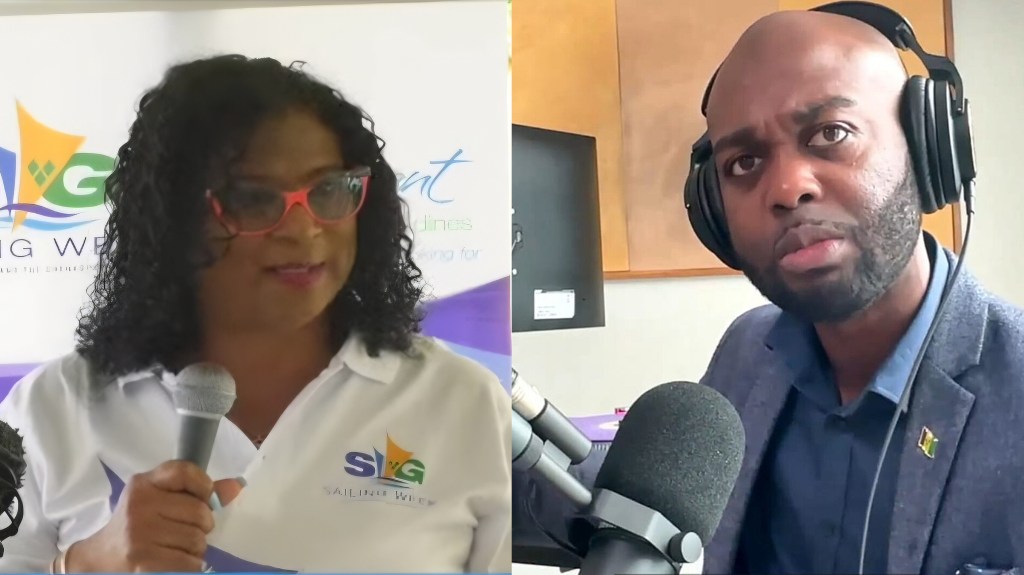 Minister Shallow pushes back on calls to reject mass tourism – One News SVG